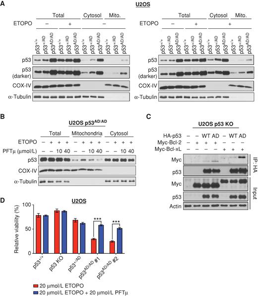 Li–Fraumeni Syndrome–Associated Dimer-Forming Mutant p53 Promotes ...