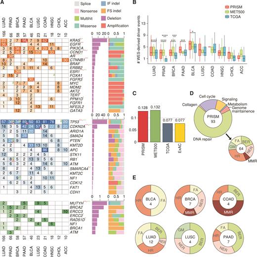 Integrative Pan-Cancer Genomic and Transcriptomic Analyses of Refractory Metastatic Cancer ...