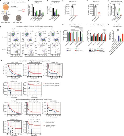 Addressing Tumor Heterogeneity by Sensitizing Resistant Cancer Cells to ...