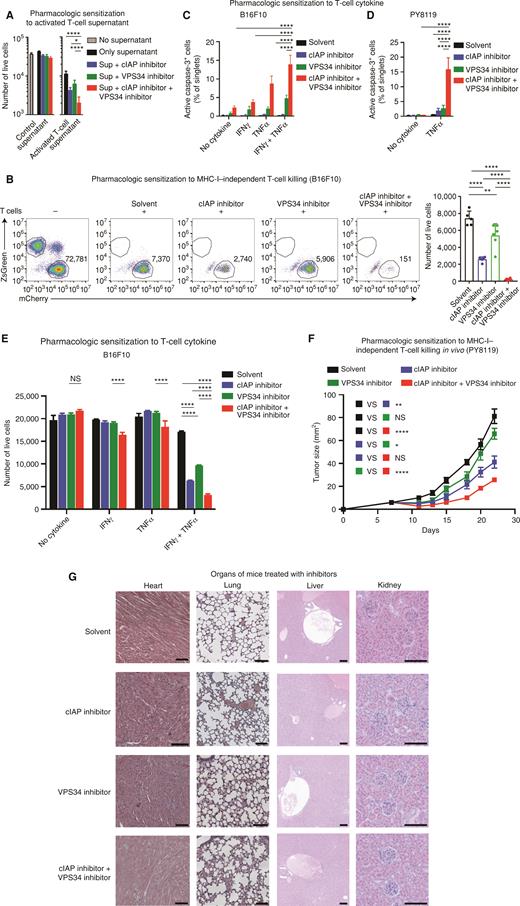 Addressing Tumor Heterogeneity by Sensitizing Resistant Cancer Cells to ...