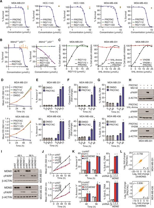 Targeted MDM2 Degradation Reveals a New Vulnerability for p53 ...