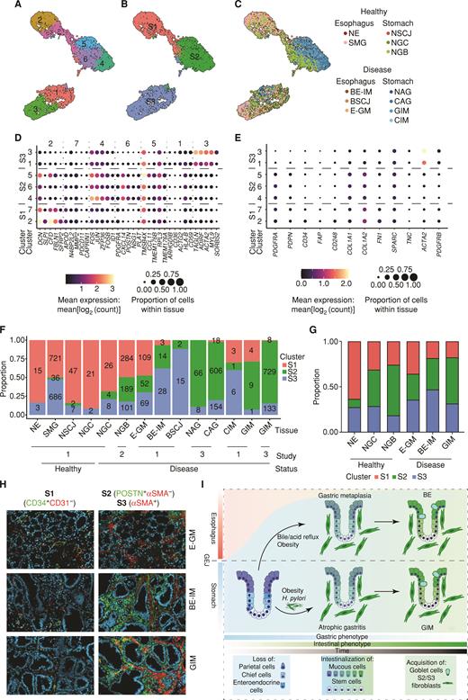 Single-Cell RNA Sequencing Unifies Developmental Programs of Esophageal ...