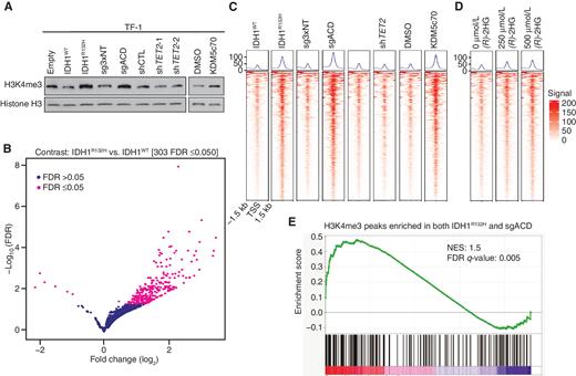 (R)-2-Hydroxyglutarate Inhibits KDM5 Histone Lysine Demethylases to ...