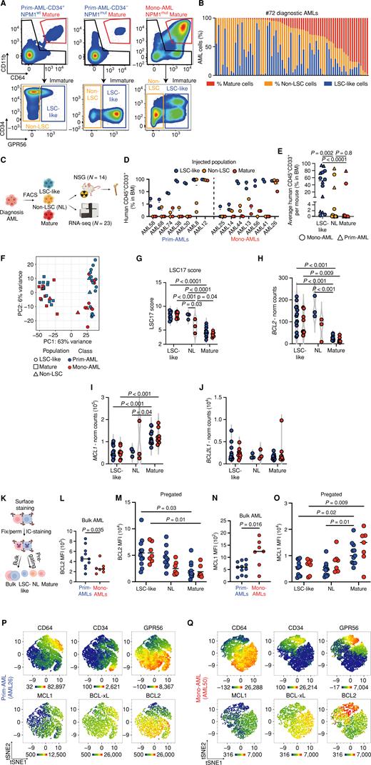 Combinatorial BCL2 Family Expression in Acute Myeloid Leukemia Stem ...