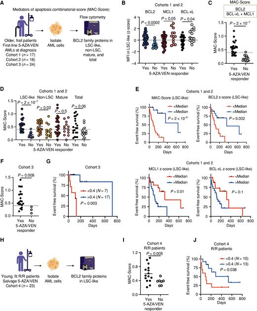Combinatorial BCL2 Family Expression in Acute Myeloid Leukemia Stem ...