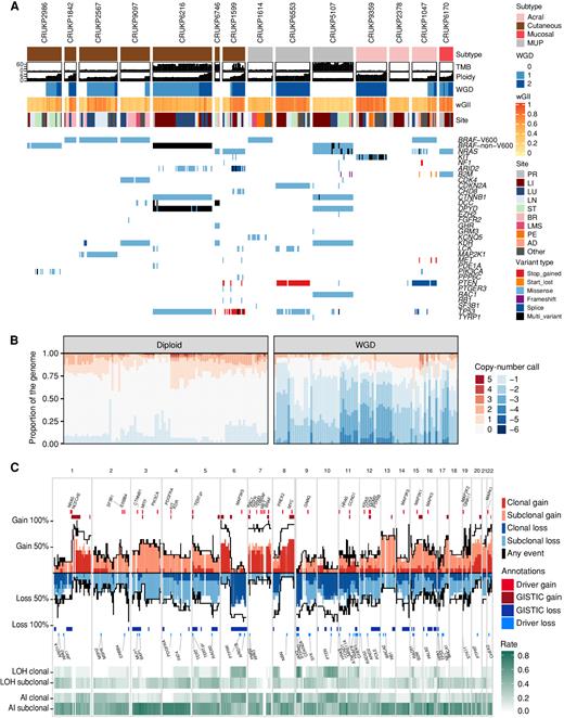 Late-Stage Metastatic Melanoma Emerges through a Diversity of ...