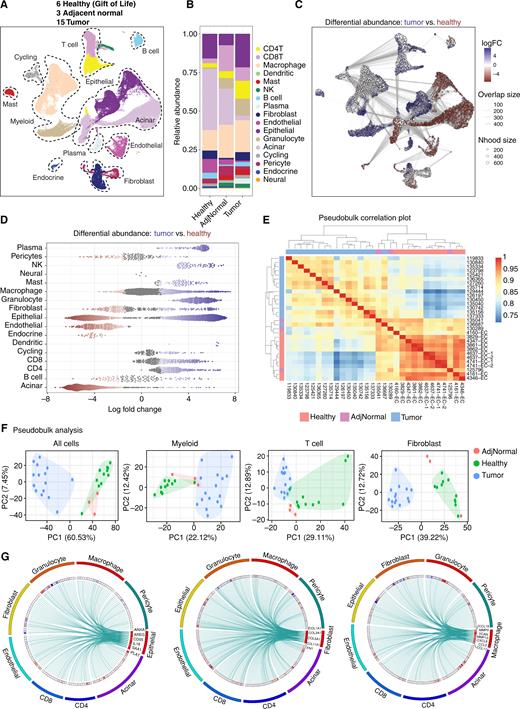 Analysis of Donor Pancreata Defines the Transcriptomic Signature and ...