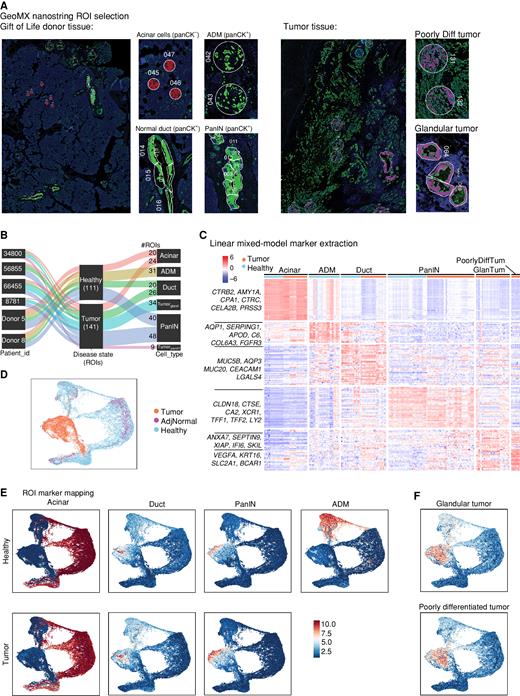 Analysis of Donor Pancreata Defines the Transcriptomic Signature and ...