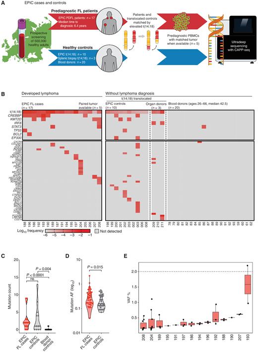 Tracing Founder Mutations in Circulating and Tissue-Resident Follicular ...