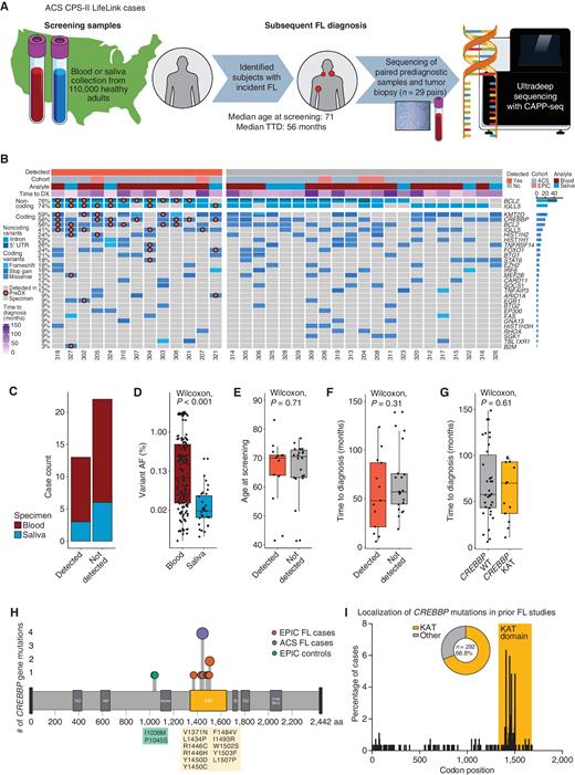 Tracing Founder Mutations in Circulating and Tissue-Resident Follicular ...