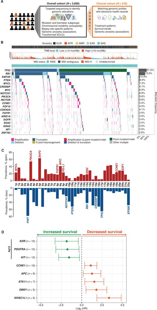 Integrative Analysis of a Large Real-World Cohort of Small Cell Lung ...