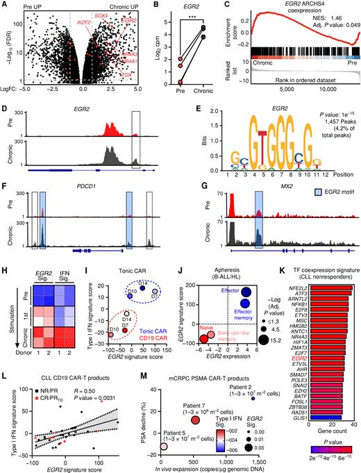 Type I Interferon Signaling via the EGR2 Transcriptional Regulator ...