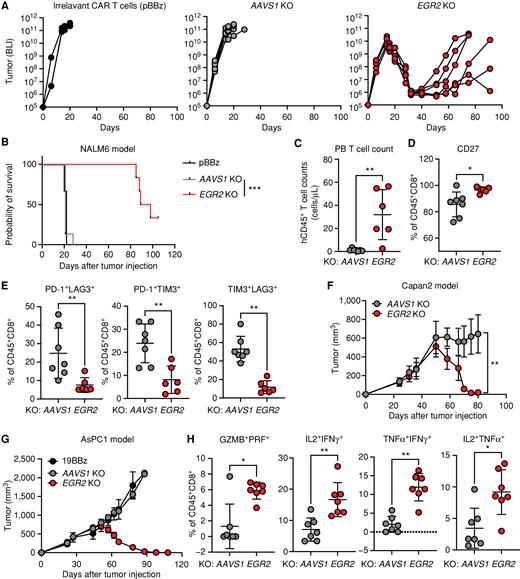 Type I Interferon Signaling via the EGR2 Transcriptional Regulator ...
