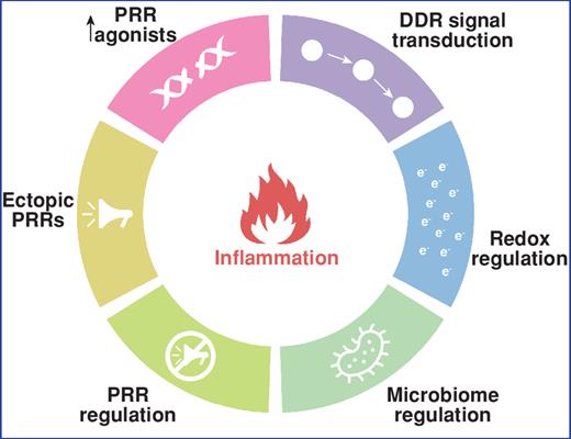 The DNA Damage Response and Inflammation in Cancer | Cancer Discovery ...