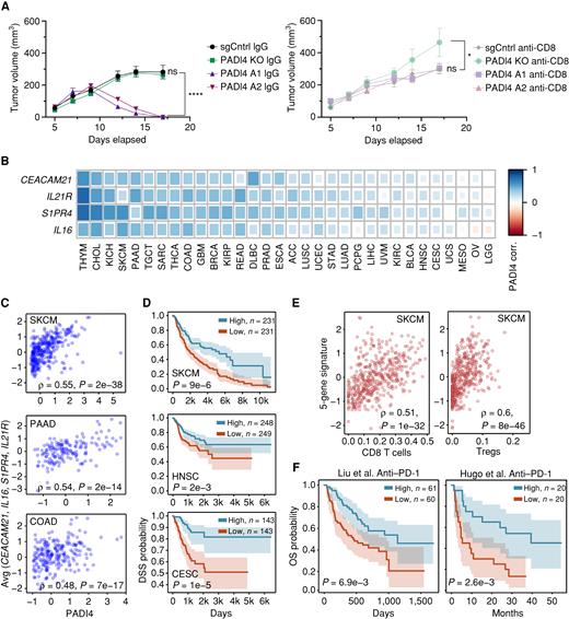 An African-Specific Variant of TP53 Reveals PADI4 as a Regulator of p53 ...
