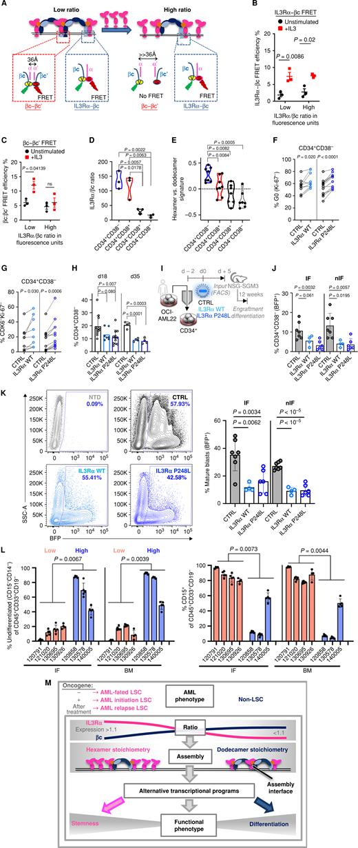 Distinct Assemblies of Heterodimeric Cytokine Receptors Govern Stemness ...