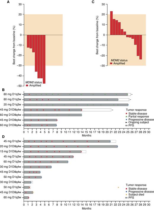 The MDM2–p53 Antagonist Brigimadlin (BI 907828) in Patients with ...