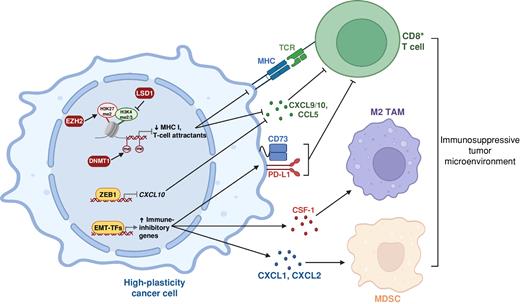 The Transcriptional and Epigenetic Landscape of Cancer Cell Lineage ...