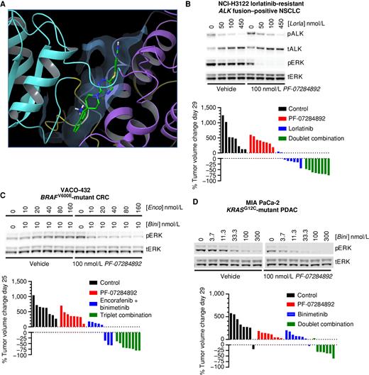 SHP2 Inhibition Sensitizes Diverse Oncogene-Addicted Solid Tumors to Re ...