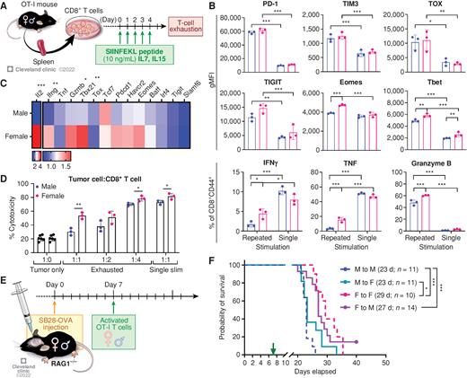 Sex-Biased T-cell Exhaustion Drives Differential Immune Responses in ...