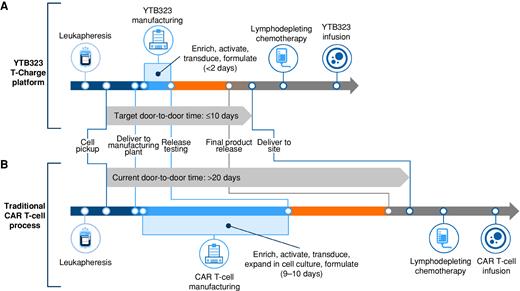 A Novel Autologous CAR-T Therapy, YTB323, with Preserved T-cell ...