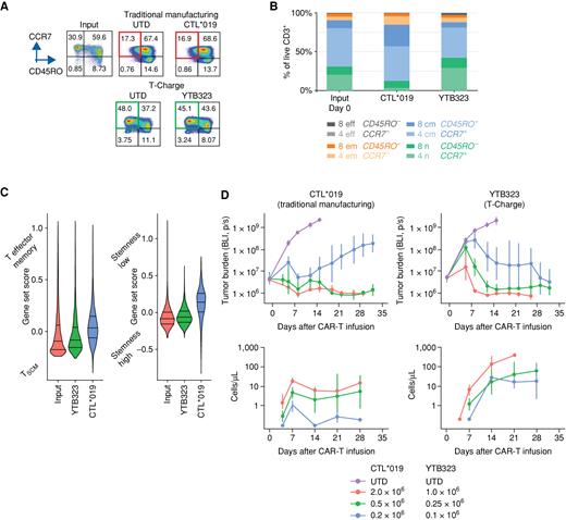 A Novel Autologous CAR-T Therapy, YTB323, with Preserved T-cell ...