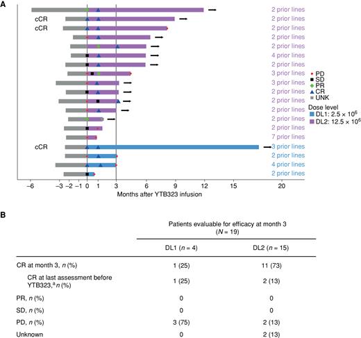 A Novel Autologous CAR-T Therapy, YTB323, with Preserved T-cell ...