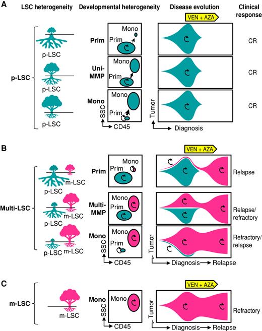 A Novel Type of Monocytic Leukemia Stem Cell Revealed by the Clinical ...