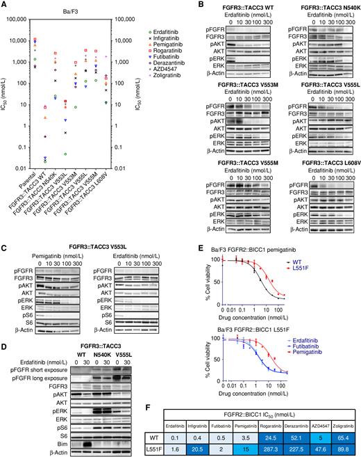 Resistance to Selective FGFR Inhibitors in FGFR-Driven Urothelial ...