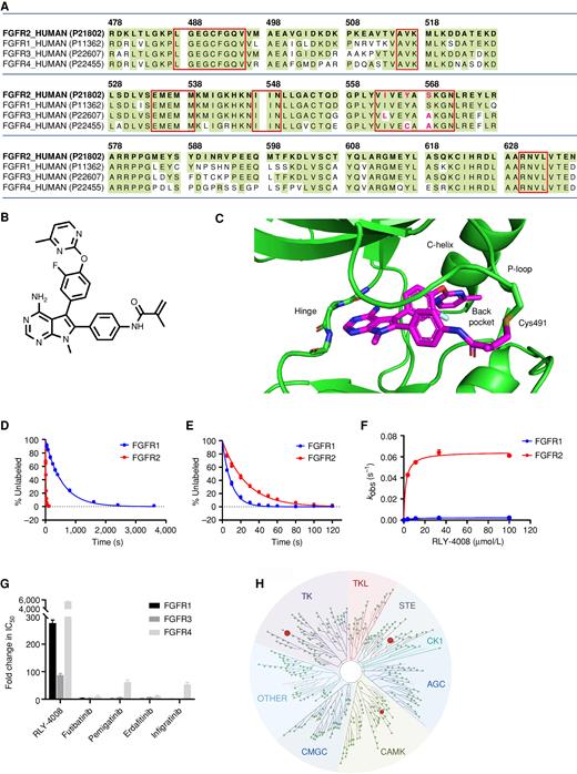 RLY-4008, the First Highly Selective FGFR2 Inhibitor with Activity across FGFR2 Alterations and ...