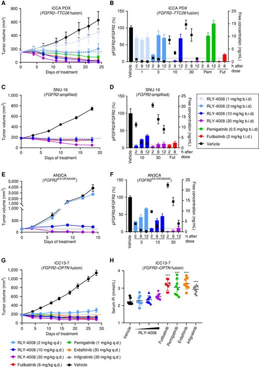 RLY-4008, the First Highly Selective FGFR2 Inhibitor with Activity across FGFR2 Alterations and ...