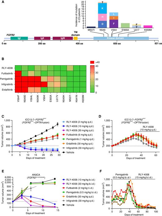 RLY-4008, the First Highly Selective FGFR2 Inhibitor with Activity across FGFR2 Alterations and ...