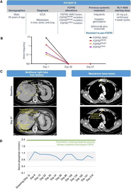 RLY-4008, the First Highly Selective FGFR2 Inhibitor with Activity across FGFR2 Alterations and ...