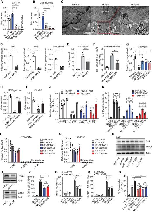 Vitamin B6 Competition in the Tumor Microenvironment Hampers Antitumor Functions of NK Cells ...