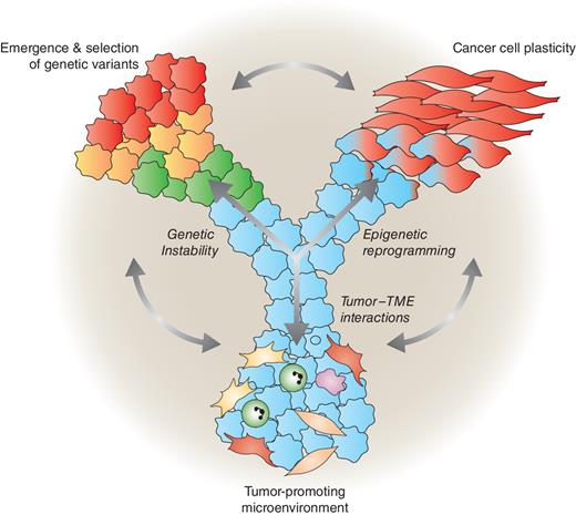 Cancer Evolution: A Multifaceted Affair | Cancer Discovery | American ...