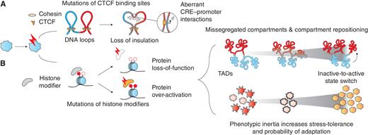 Cancer Evolution: A Multifaceted Affair | Cancer Discovery | American ...