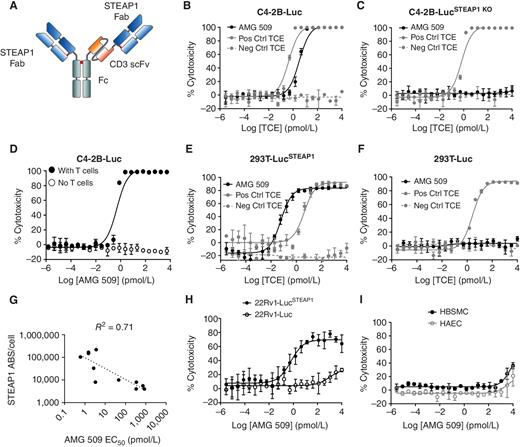 AMG 509 (Xaluritamig), an Anti-STEAP1 XmAb 2+1 T-cell Redirecting ...