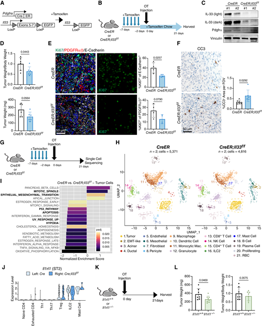 Oncogenic KRAS-Dependent Stromal Interleukin-33 Directs the Pancreatic ...