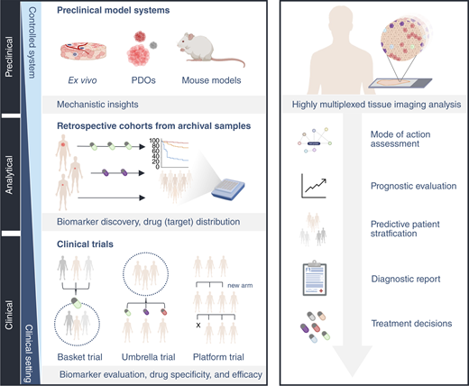 Highly Multiplexed Tissue Imaging in Precision Oncology and ...