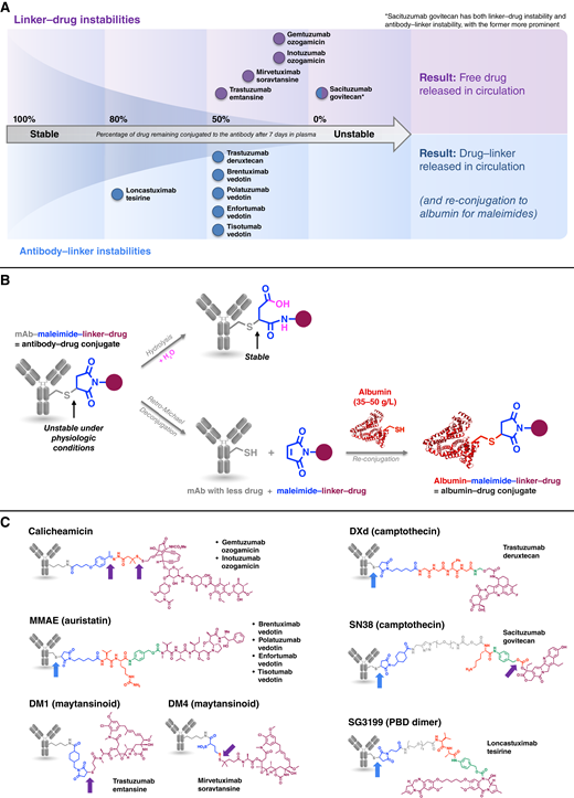The Journey of Antibody–Drug Conjugates: Lessons Learned from 40 Years ...