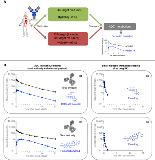 The Journey of Antibody–Drug Conjugates: Lessons Learned from 40 Years ...