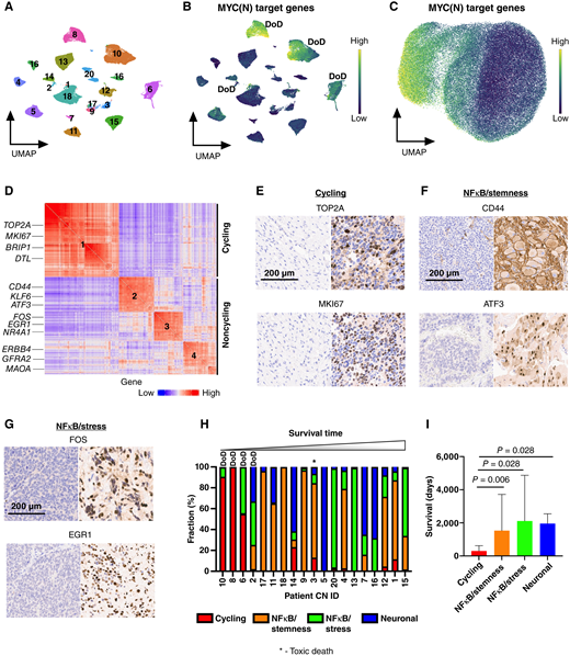 Identification and Characterization of Chemotherapy-Resistant High-Risk ...