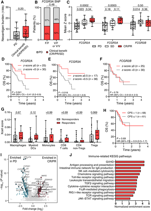 Botensilimab, an Fc-Enhanced Anti–CTLA-4 Antibody, Is Effective against ...