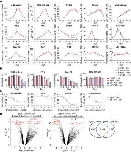 Loss-of-Function but Not Gain-of-Function Properties of Mutant TP53 Are ...