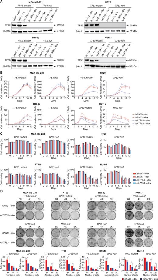 Loss-of-Function but Not Gain-of-Function Properties of Mutant TP53 Are ...