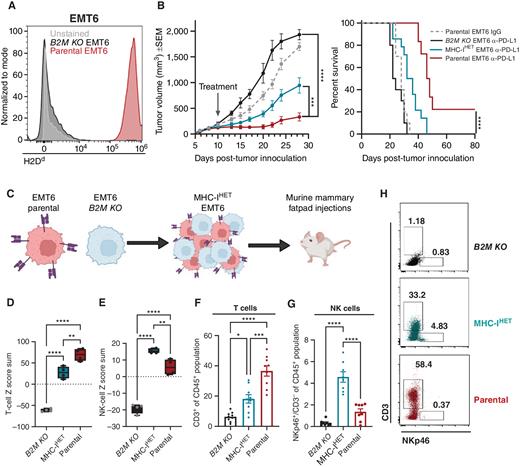NKG2A Is a Therapeutic Vulnerability in Immunotherapy Resistant MHC-I ...