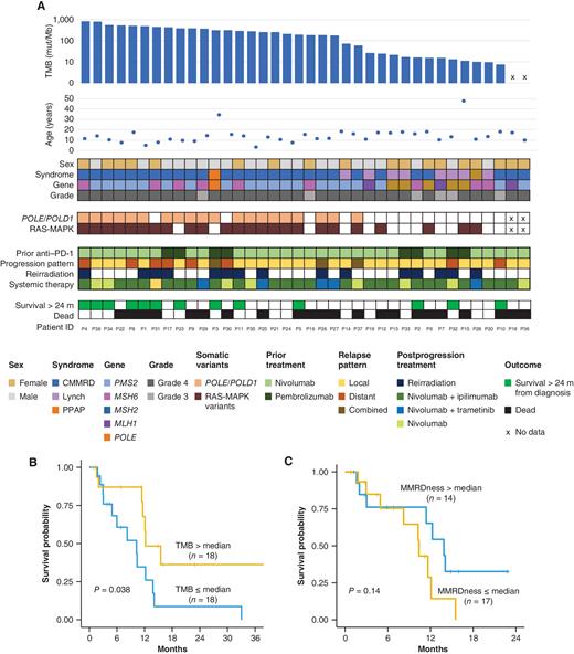 Combined Immunotherapy Improves Outcome for Replication-Repair ...