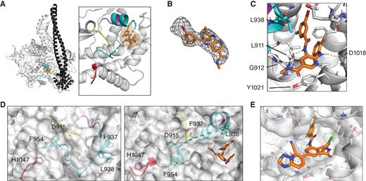 Discovery and Clinical Proof-of-Concept of RLY-2608, a First-in-Class ...