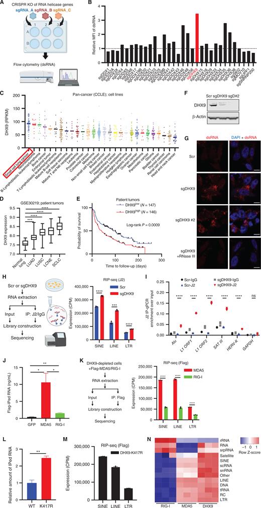 Targeting DHX9 Triggers Tumor-Intrinsic Interferon Response and ...