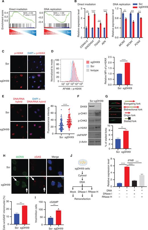 Targeting DHX9 Triggers Tumor-Intrinsic Interferon Response and ...